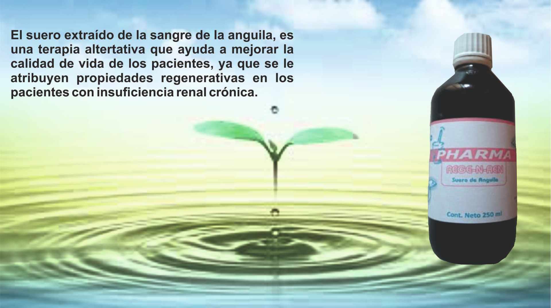 Suero-de-anguila